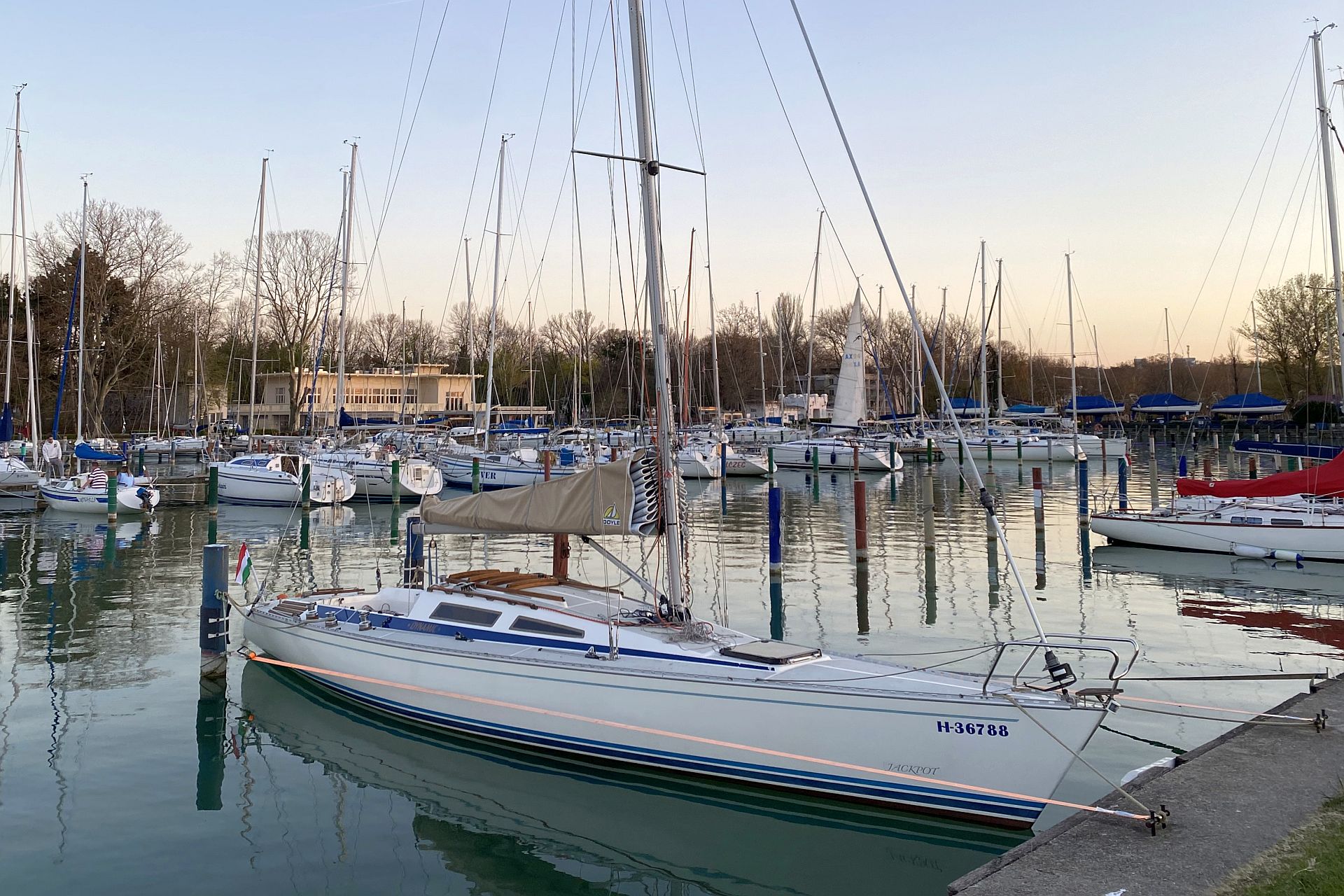 gerbauchte Dynamic 35 zu verkaufen